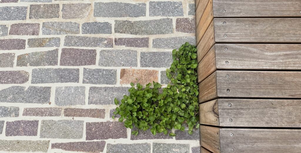 Cobblestone Pavers NSW - Natural Stone: Lithic Australia